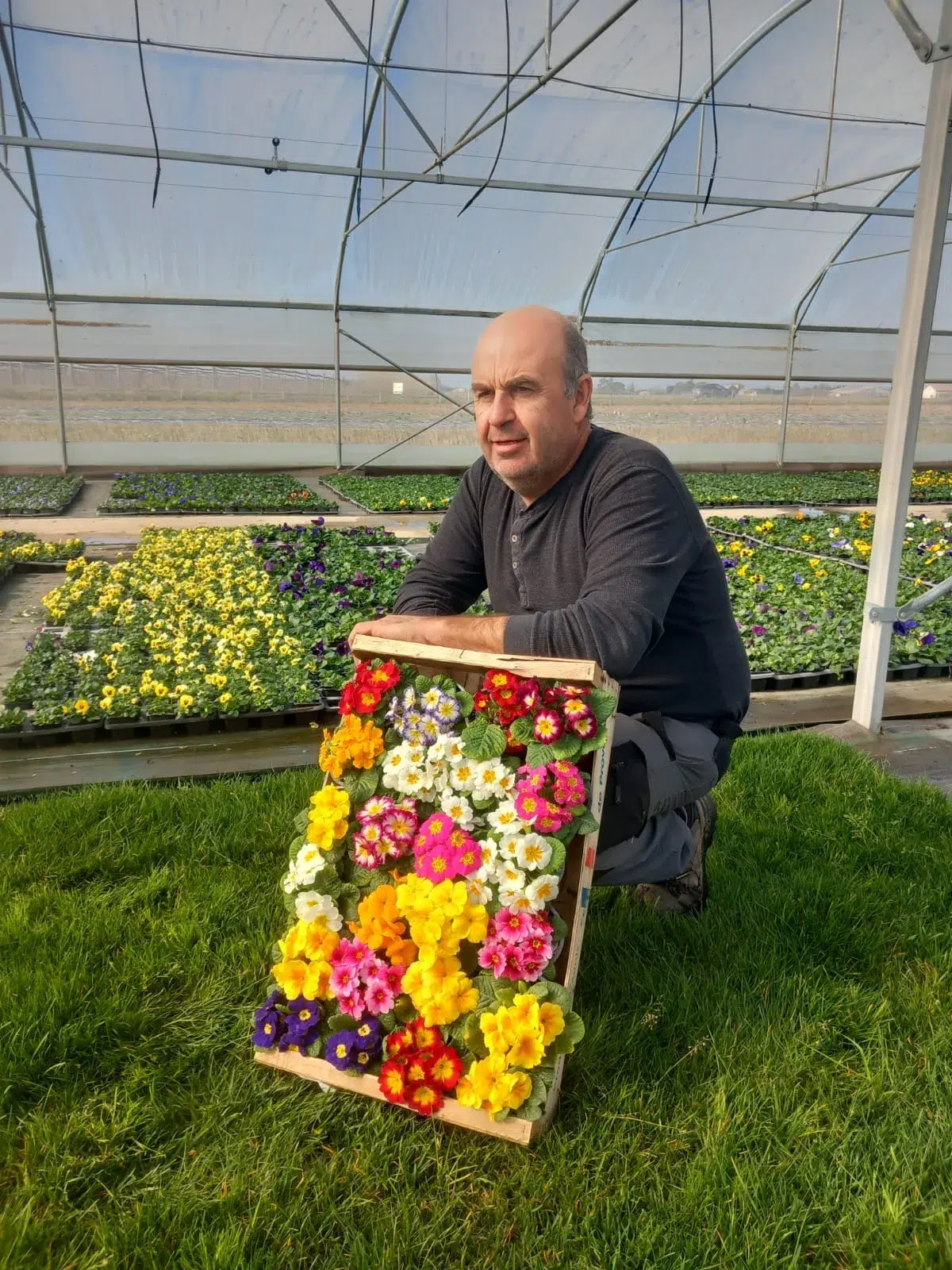 Plants de fleurs et de légumes - gazon en rouleau en ligne